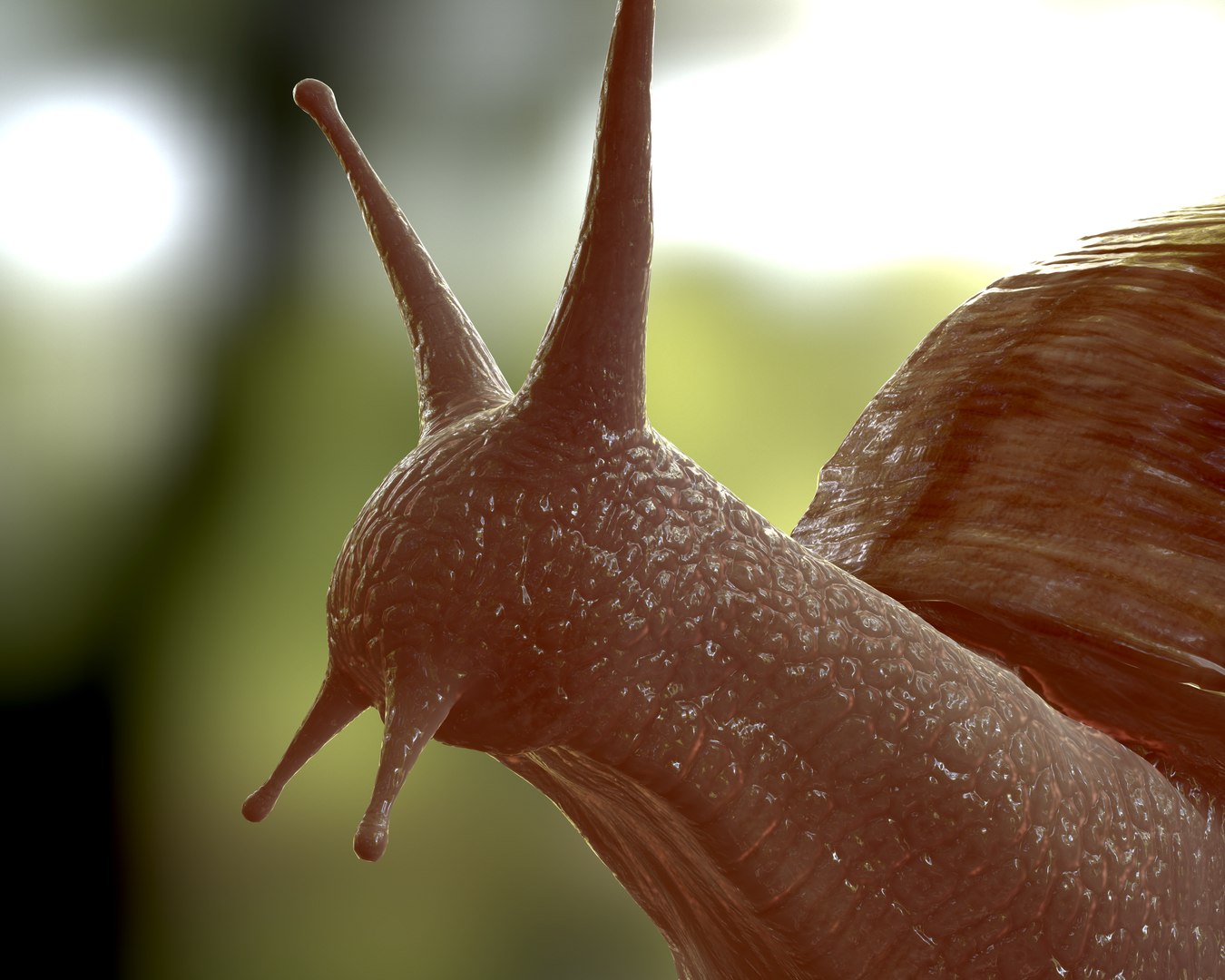 3D Snail Realistic Pbr - TurboSquid 1313529