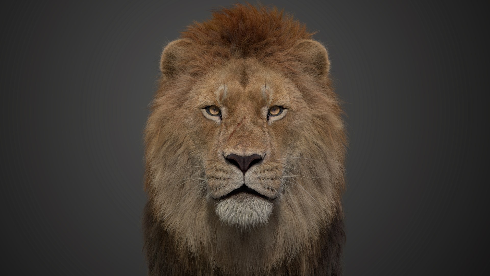 Male Lion Animated 3D model - TurboSquid 2001593