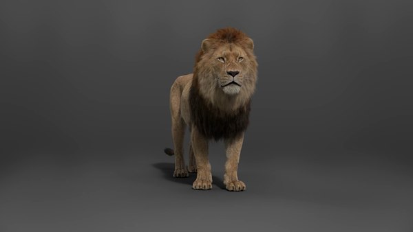 modelo 3d León macho animado - TurboSquid 2001593