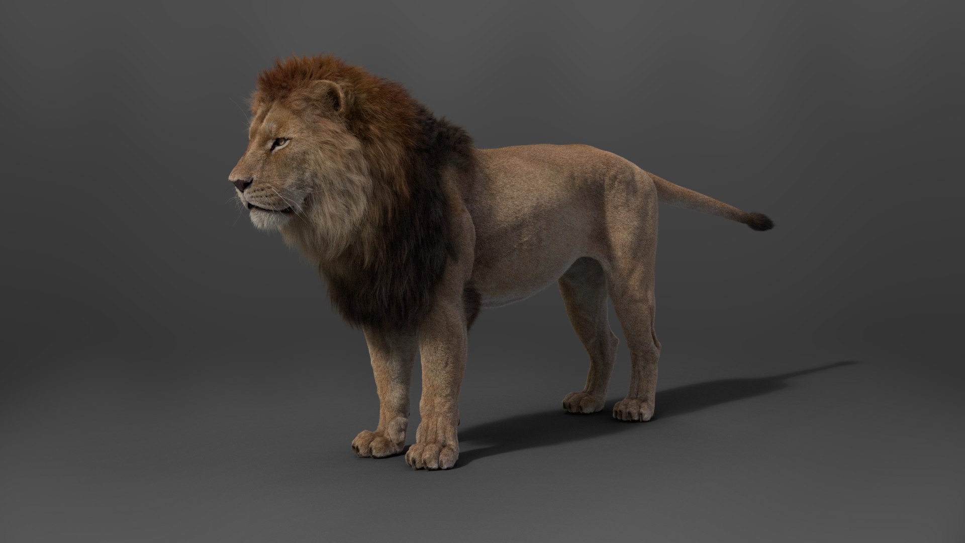 Male Lion Animated 3D model - TurboSquid 2001593