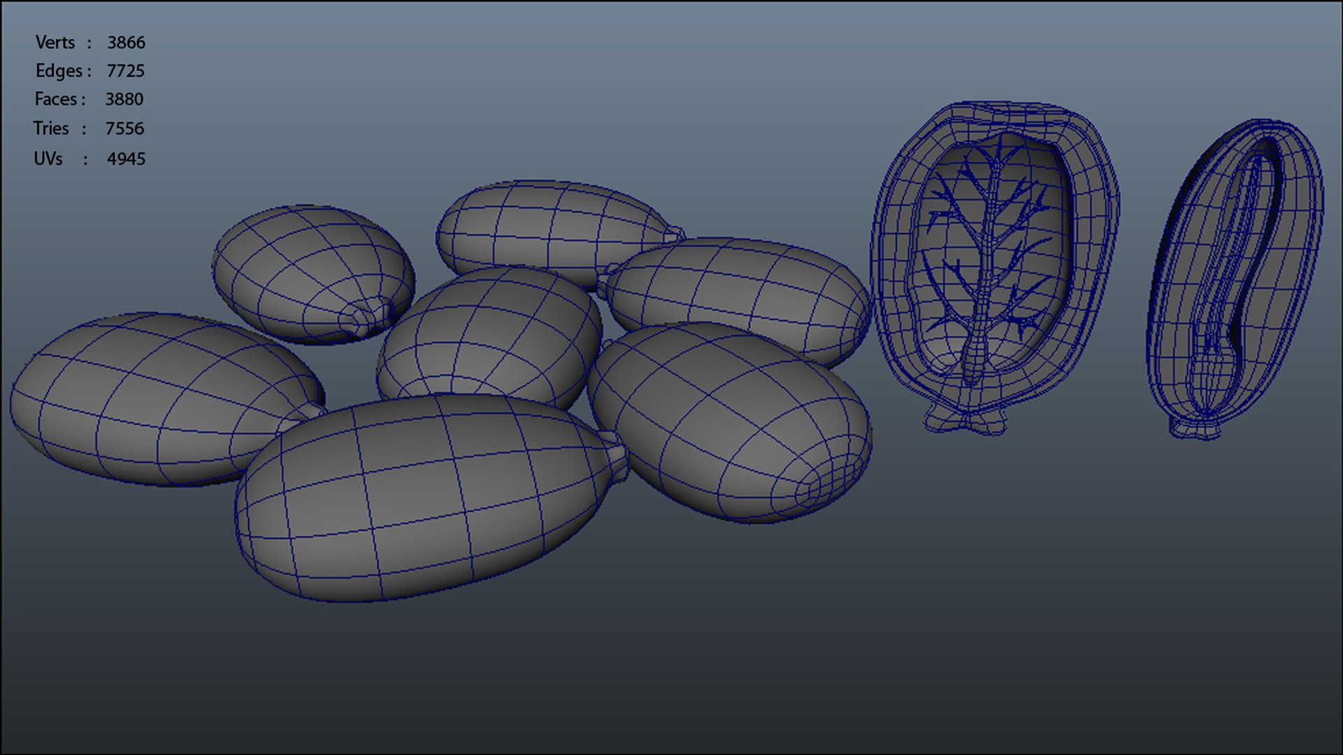 3d Obj Endosperm Seeds