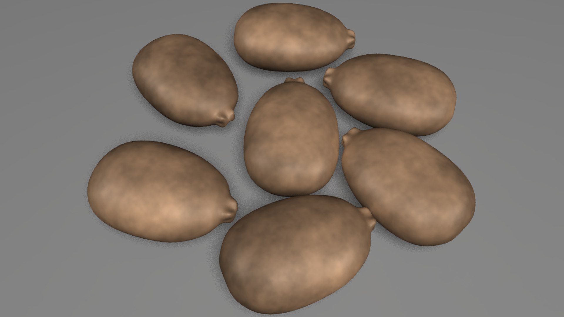 3d Obj Endosperm Seeds