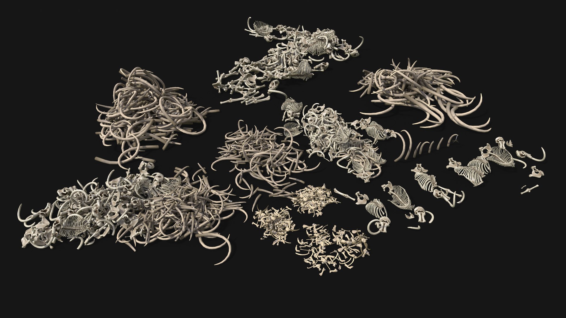 Free Bone Pile Model - TurboSquid 1688828