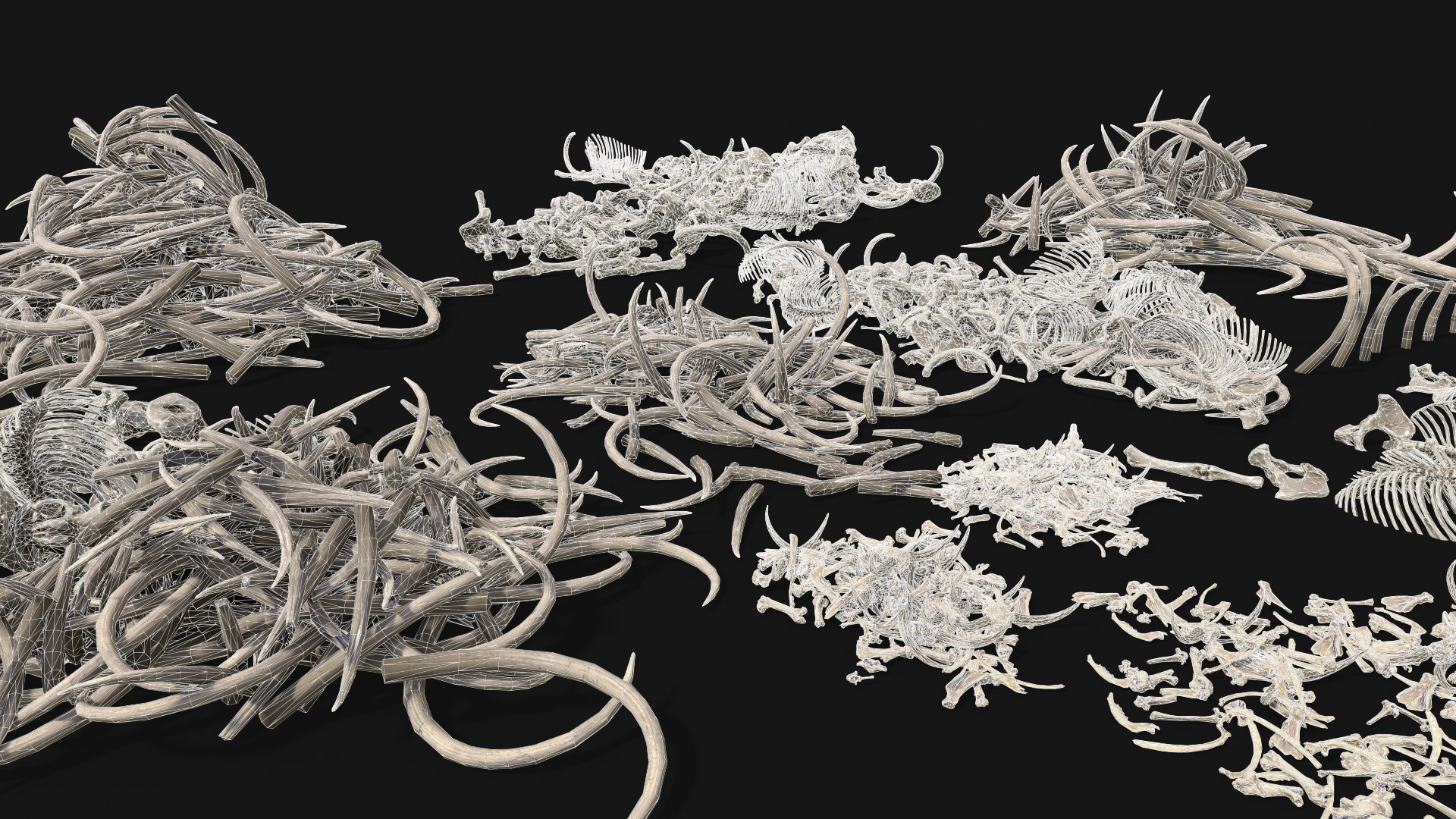 Free Bone Pile Model - TurboSquid 1688828