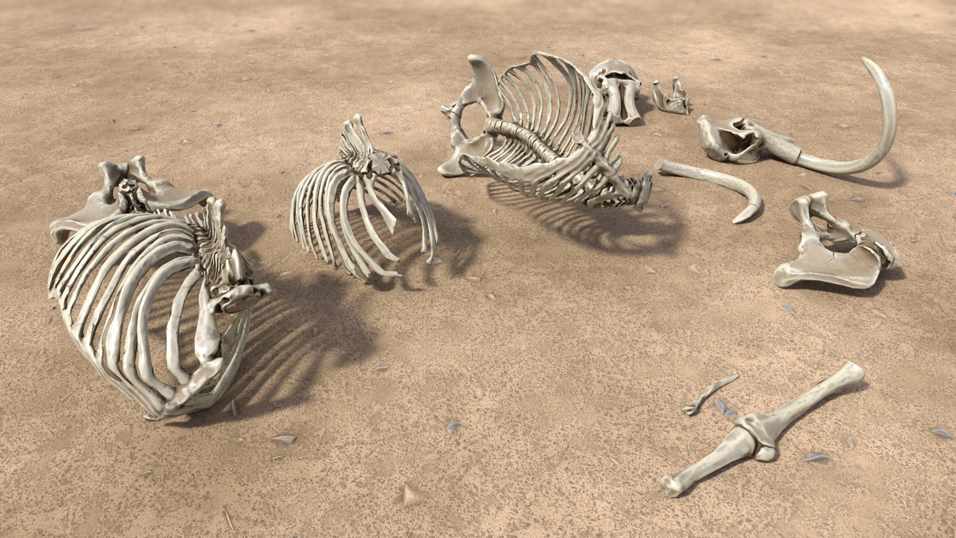 Free Bone Pile Model - TurboSquid 1688828