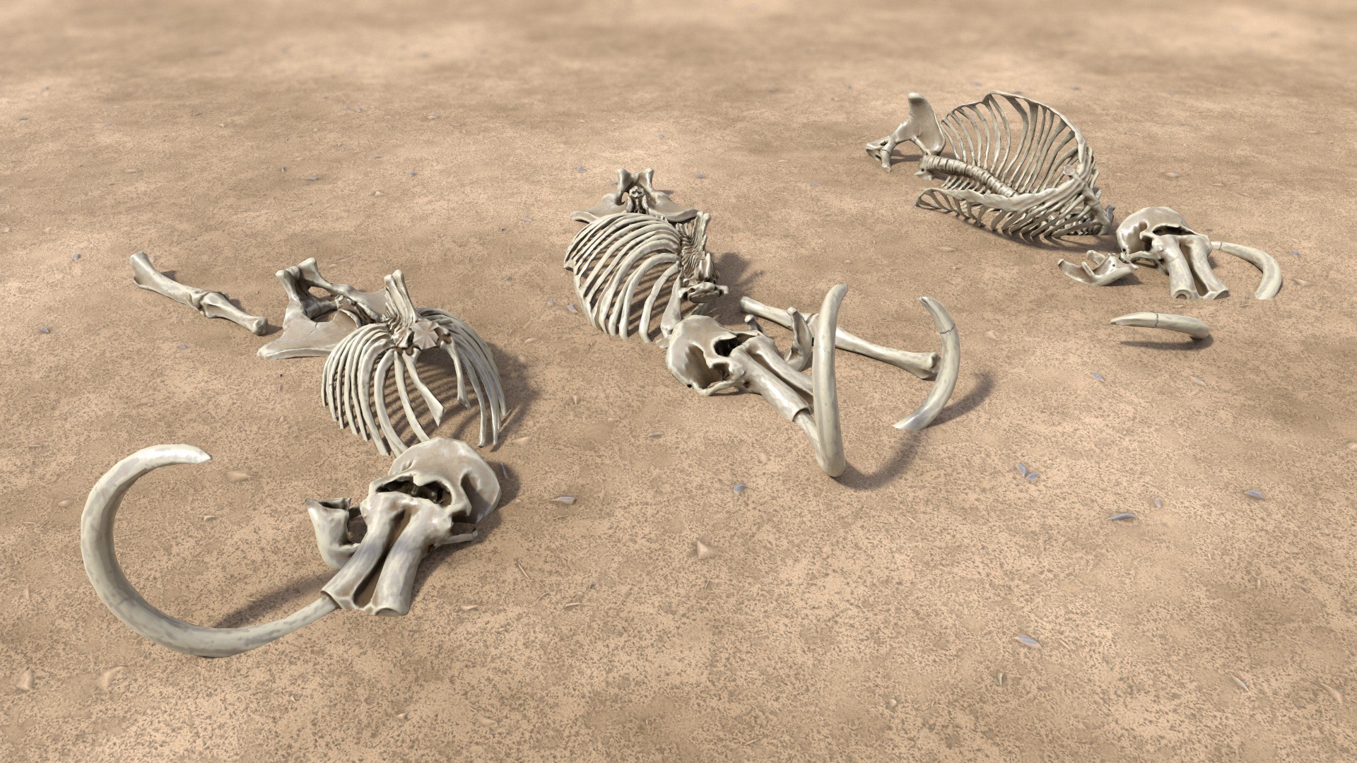 Free Bone Pile Model - TurboSquid 1688828
