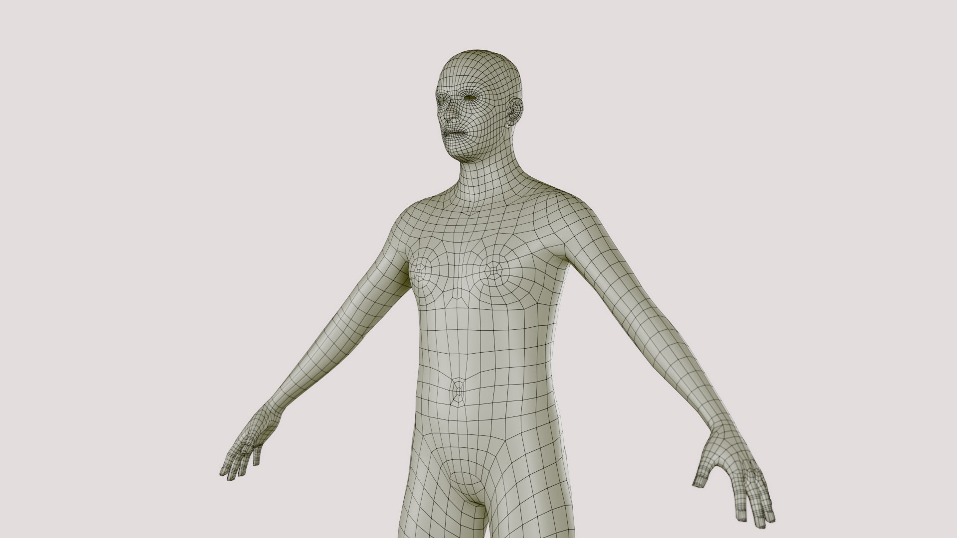 Male Body Base Mesh Topology 3D Model - TurboSquid 2194535