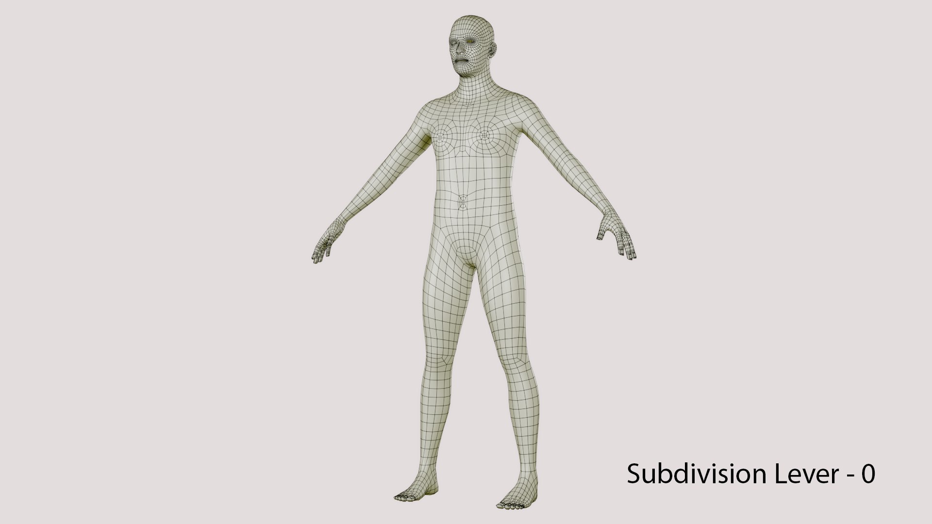Male Body Base Mesh Topology 3D Model - TurboSquid 2194535