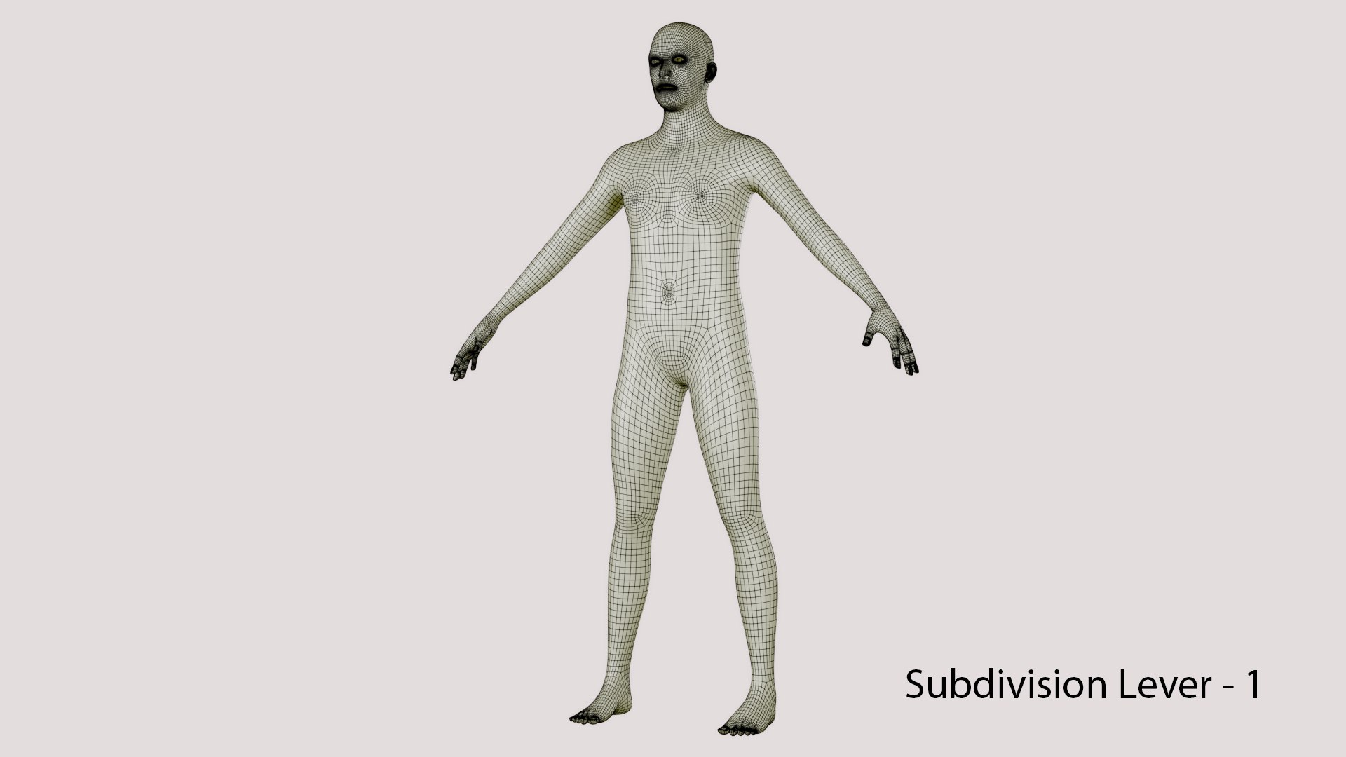 Male Body Base Mesh Topology 3D Model - TurboSquid 2194535
