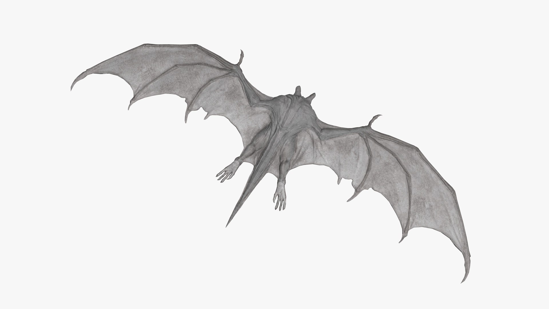 3D Bat Model - TurboSquid 2369812
