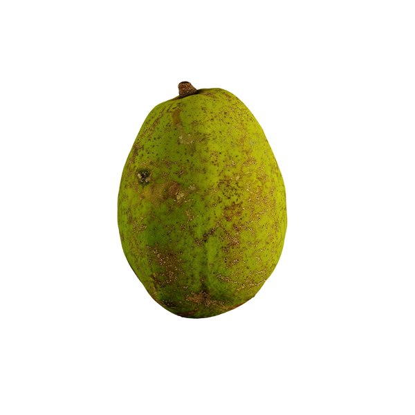 modelo 3d Ambarella - TurboSquid 2071497