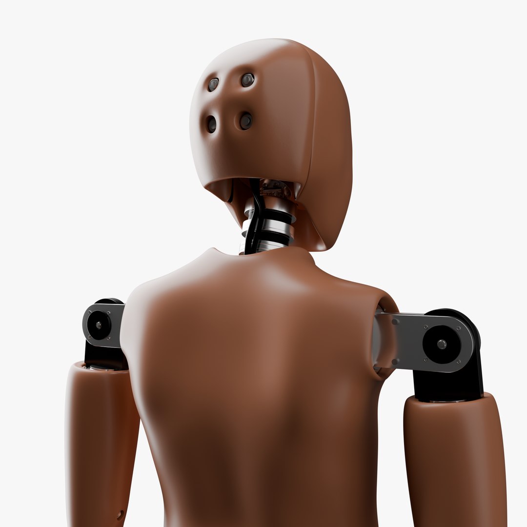 3D Crash Test Child Dummy - TurboSquid 2162207