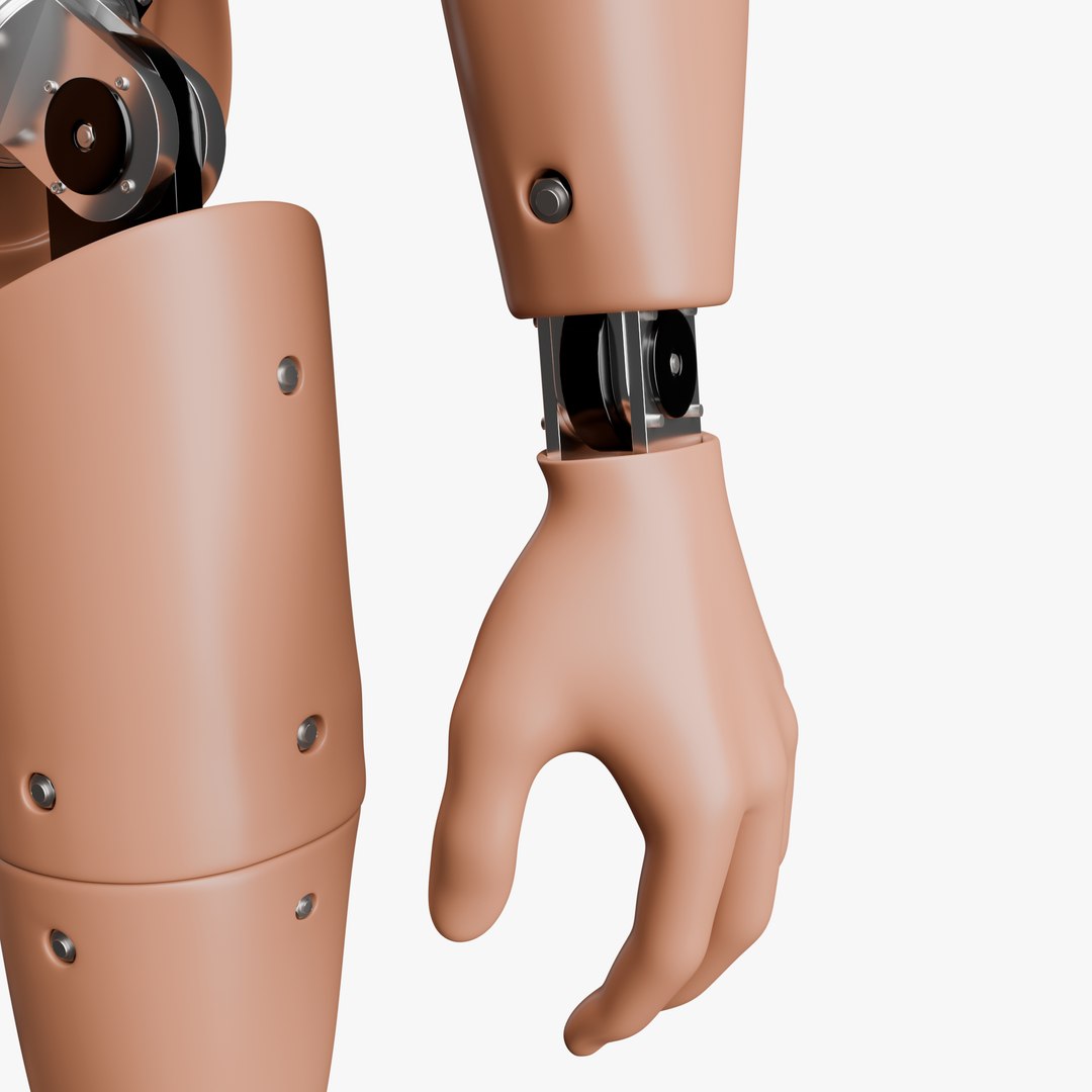 3D Crash Test Child Dummy - TurboSquid 2162207