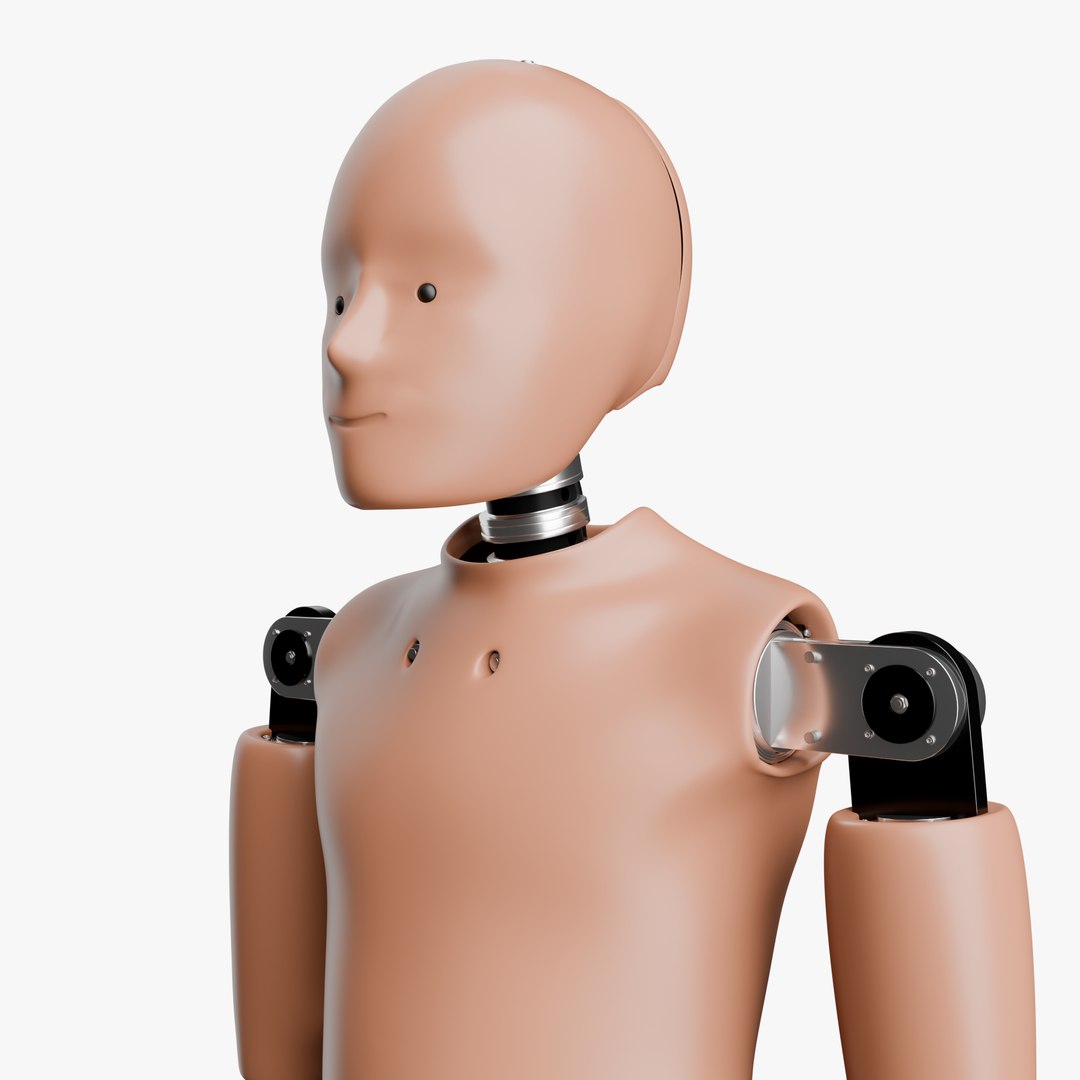 3D Crash Test Child Dummy - TurboSquid 2162207