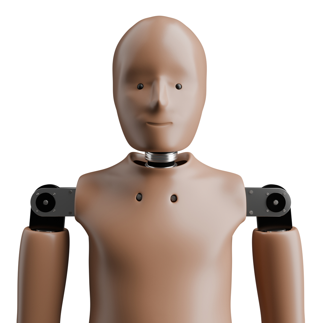 3D Crash Test Child Dummy - TurboSquid 2162207