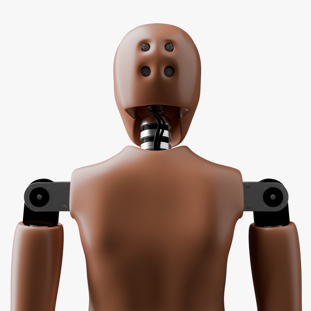 3D Crash Test Child Dummy - TurboSquid 2162207