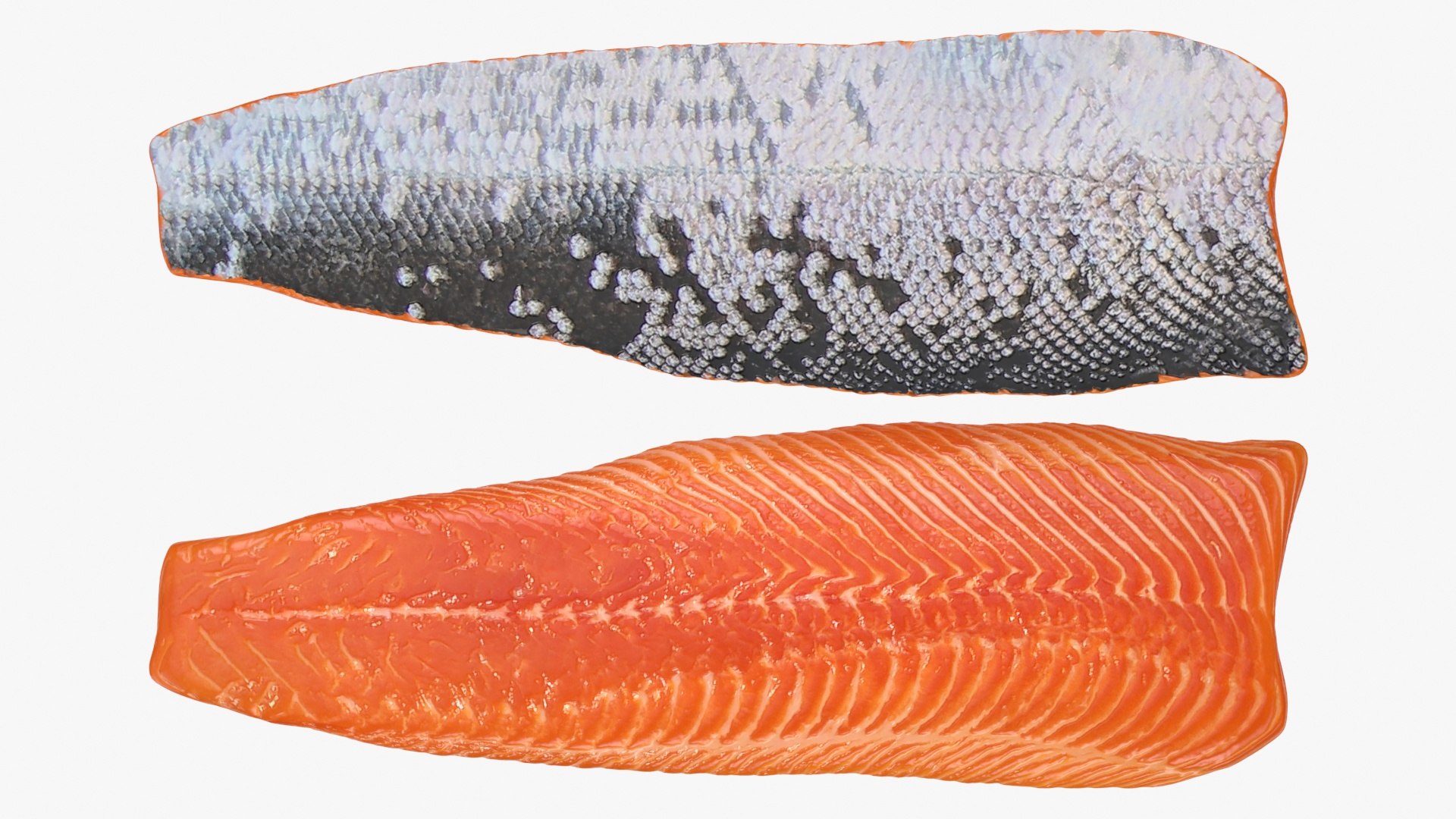 3D Raw Salmon Collection Model - TurboSquid 2292557