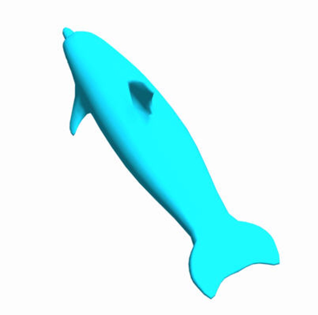 Free Dolphin 3d Model