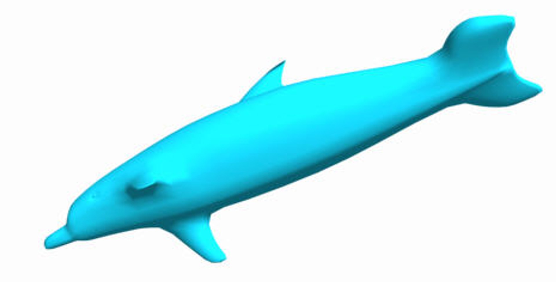 Free Dolphin 3d Model