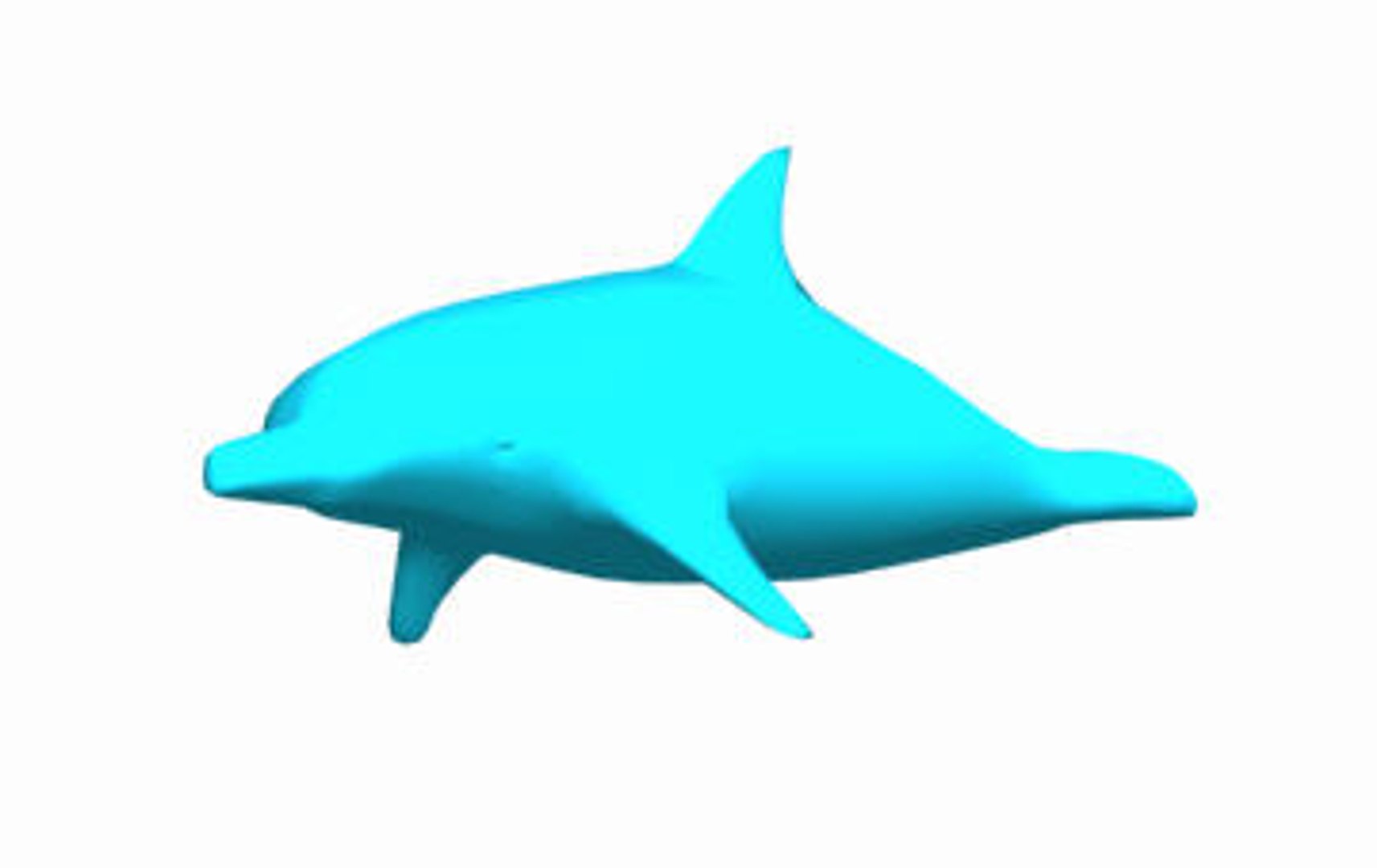 Free Dolphin 3d Model