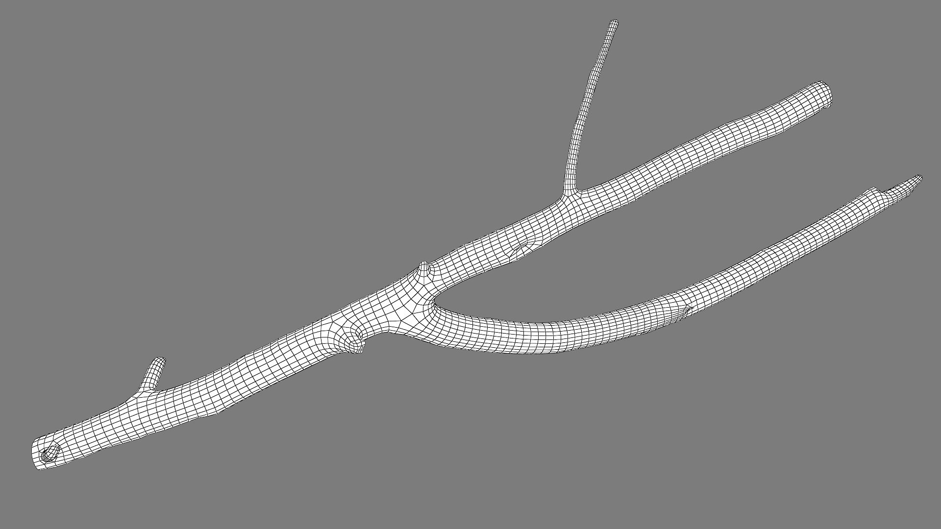 3D Twig Scanned 02 model - TurboSquid 2088945