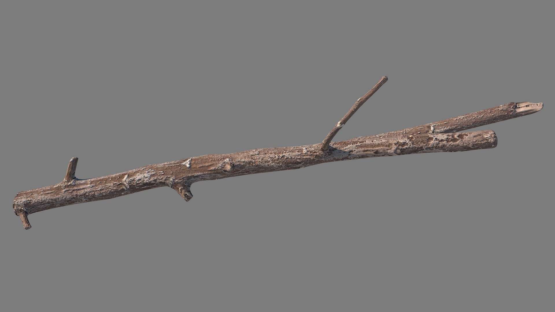 3D Twig Scanned 02 model - TurboSquid 2088945