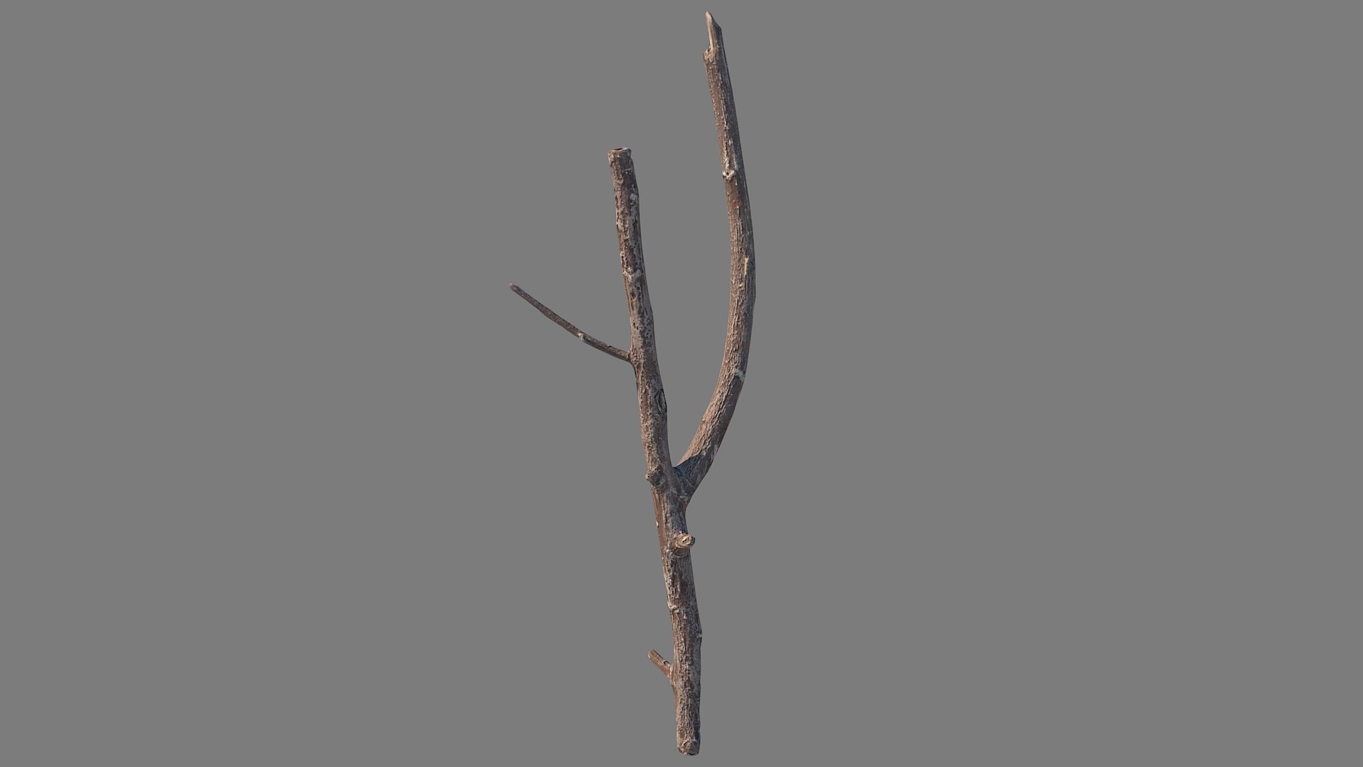 3D Twig Scanned 02 model - TurboSquid 2088945