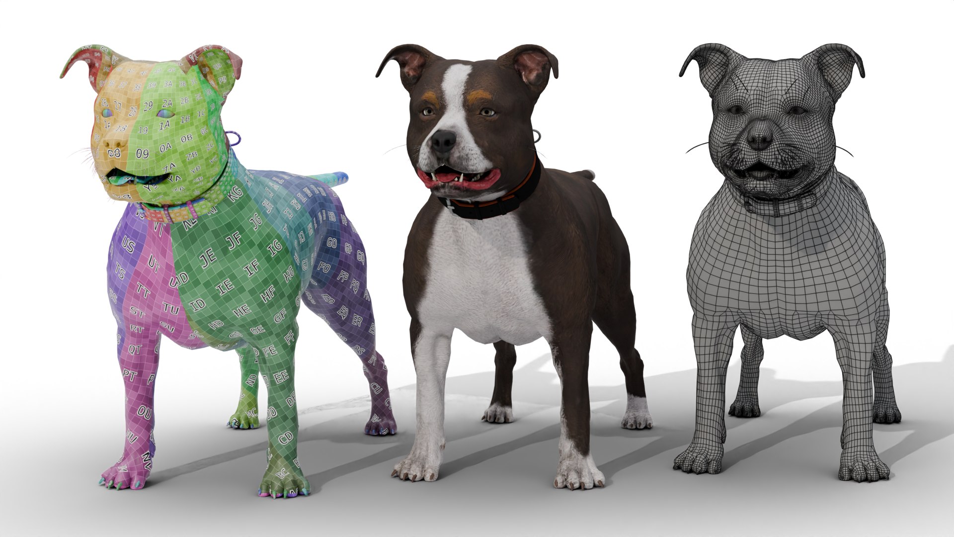 Pitbull 3D Model - TurboSquid 2445543