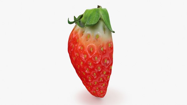 modelo 3d media fresa - TurboSquid 2218188