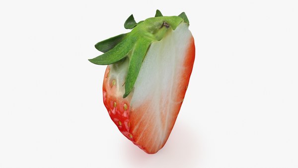 modelo 3d media fresa - TurboSquid 2218188