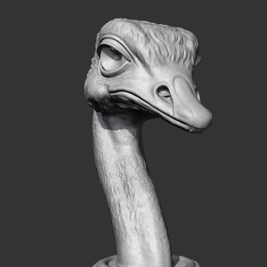 Ostrich Head AM31 3D Print Model 3D Model - TurboSquid 2223349