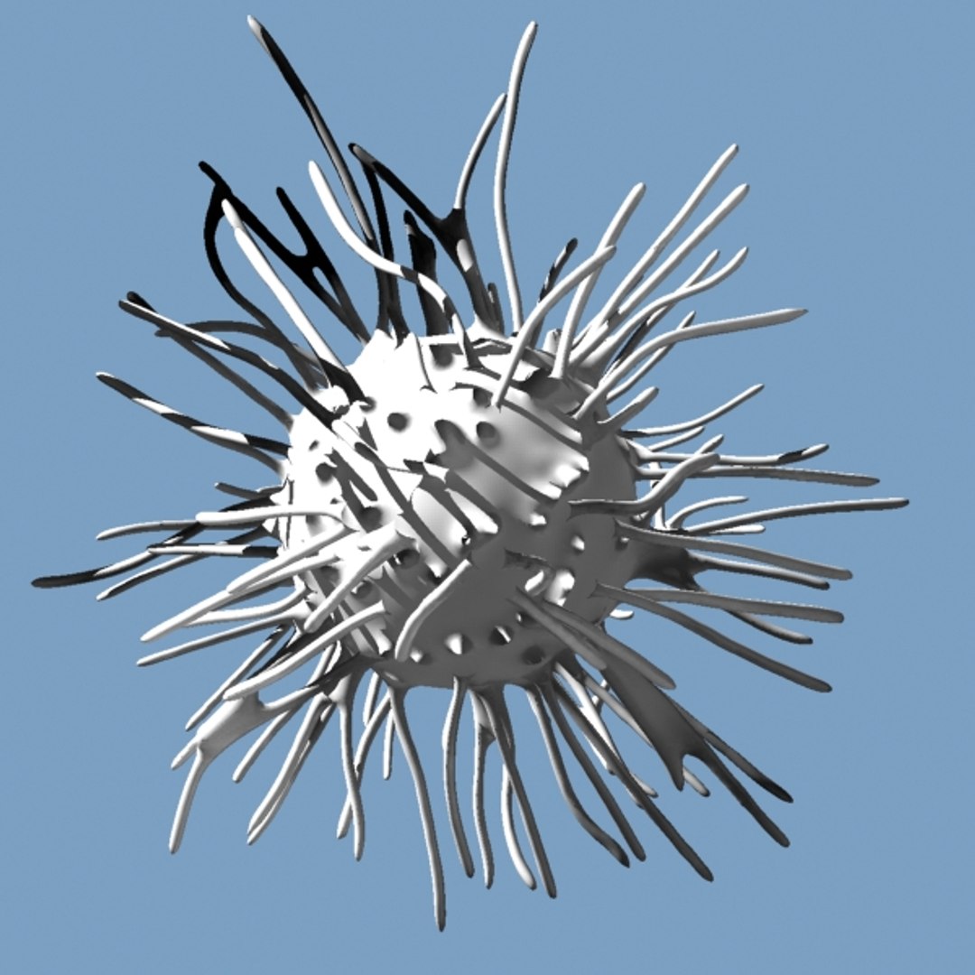 Retrovirus 3d Model