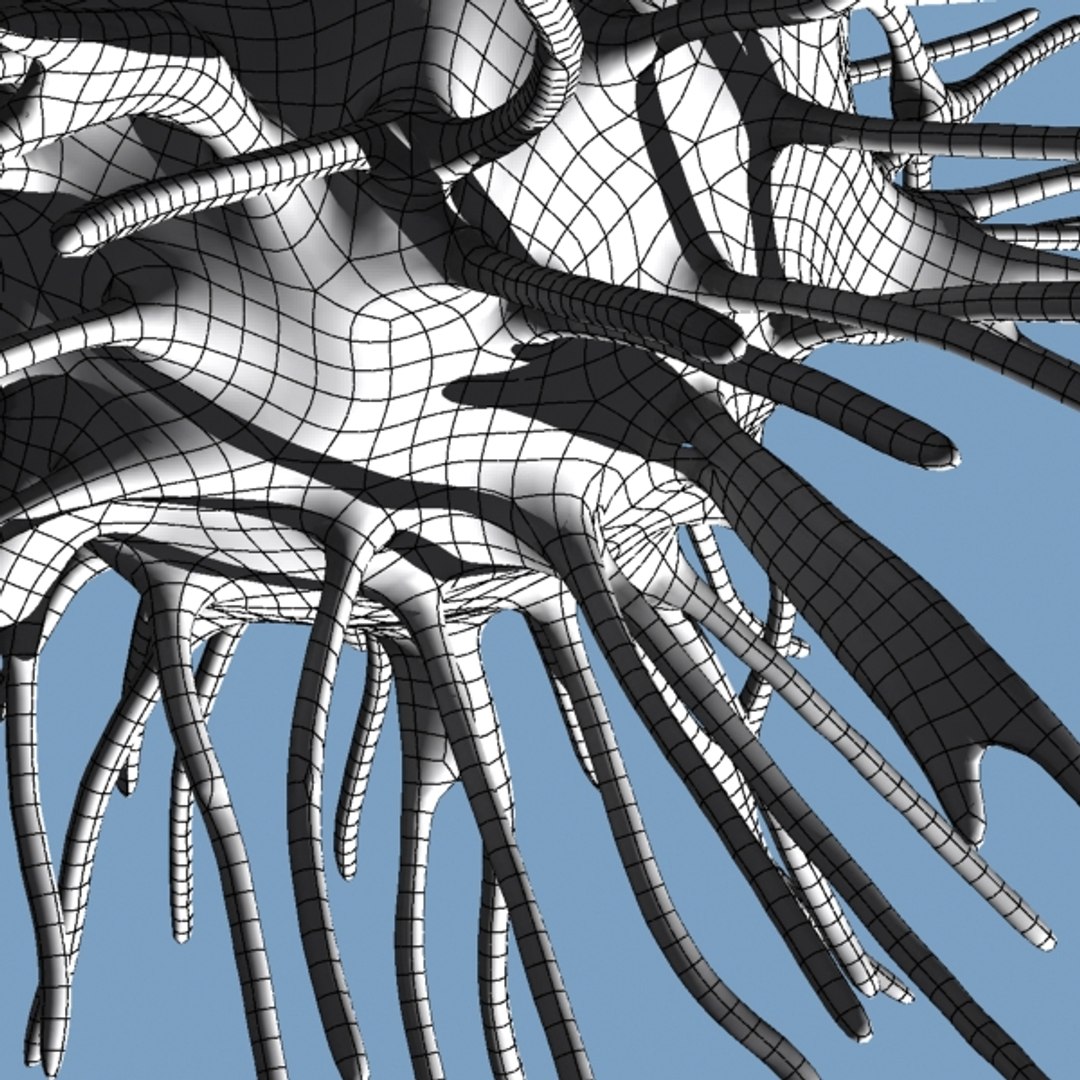 Retrovirus 3d Model