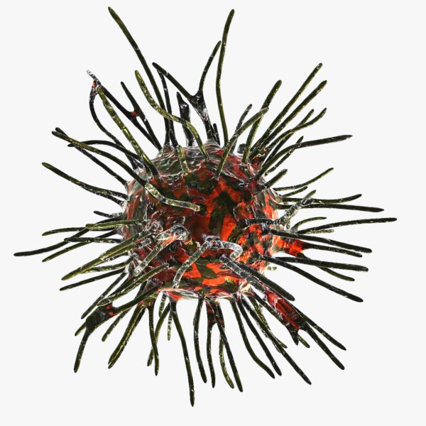 Retrovirus 3D Models for Download | TurboSquid
