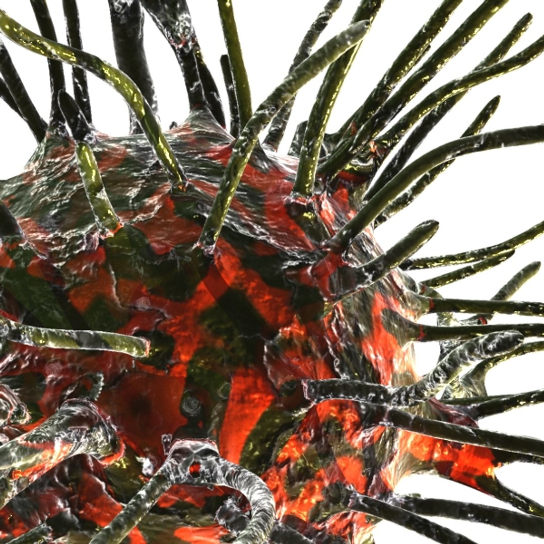 Retrovirus 3d Model