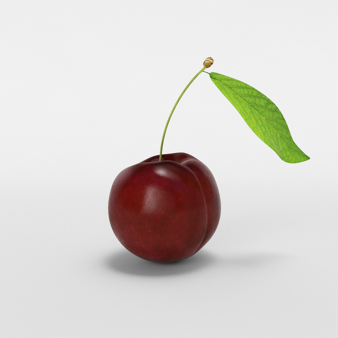 Cherry Model | 1148061 | TurboSquid