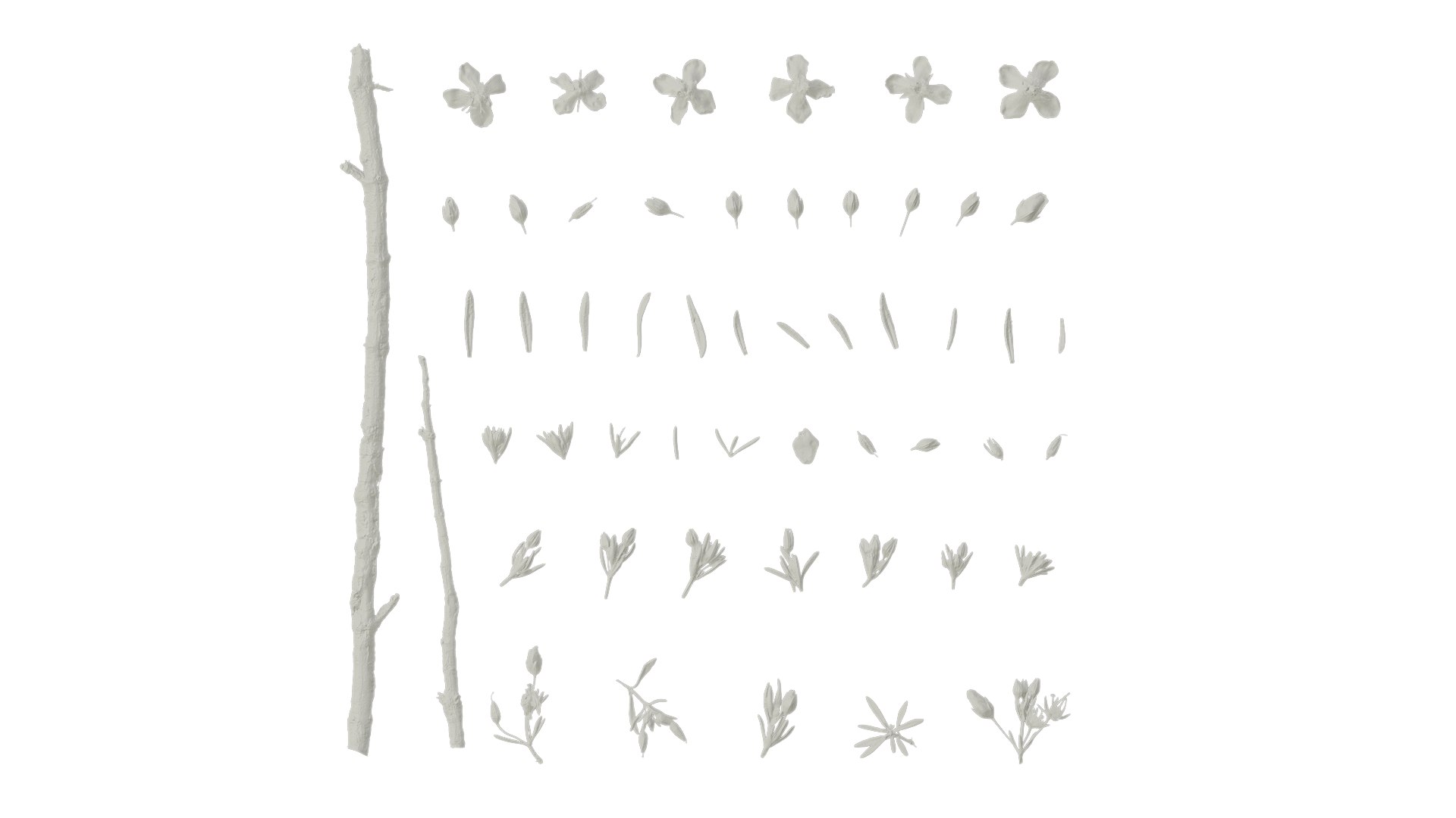 3D Anydrafts Scoparia Melongolly Blue Atlas 04 Textures Model ...