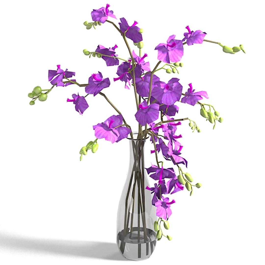 3d model of orchid flower lilies