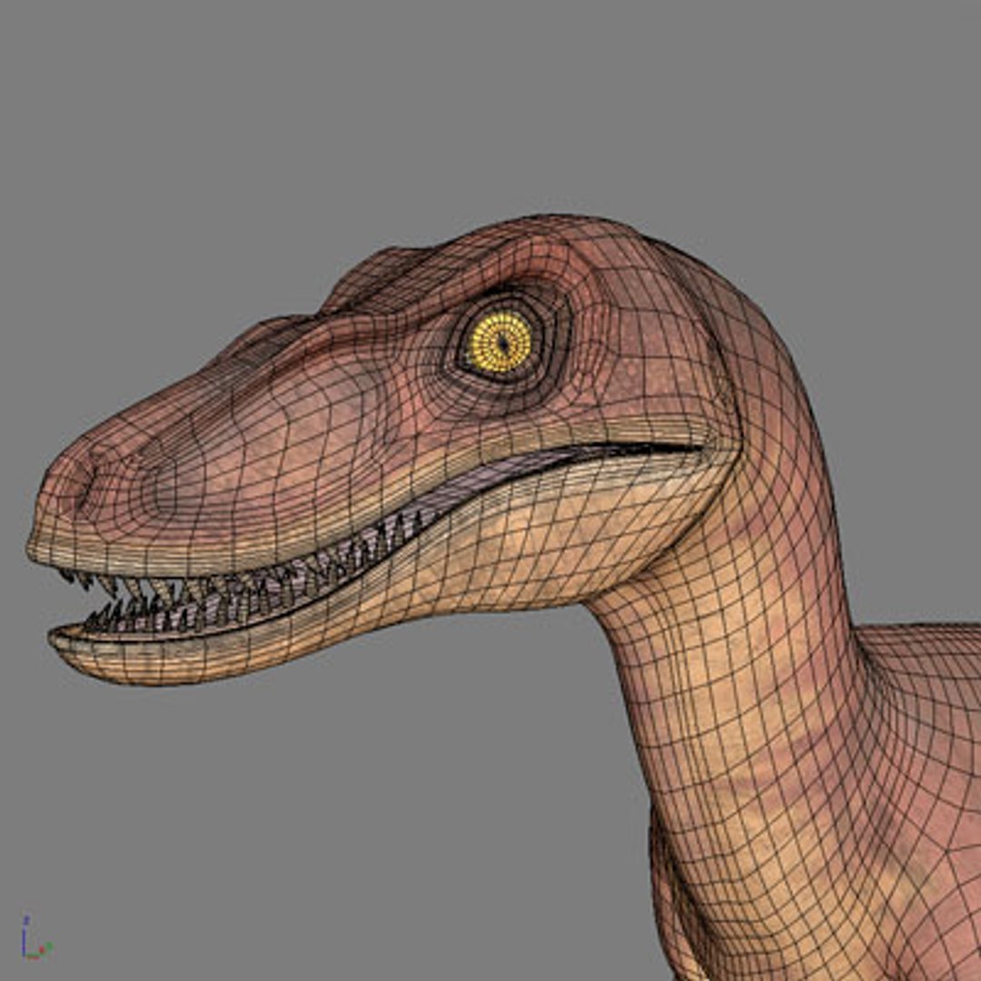 raptor dinosaur 3d model
