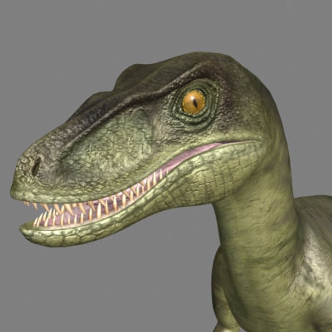 raptor dinosaur 3d model