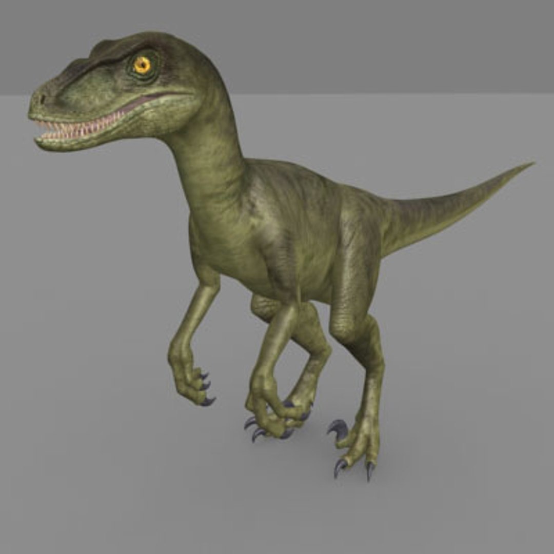 raptor dinosaur 3d model