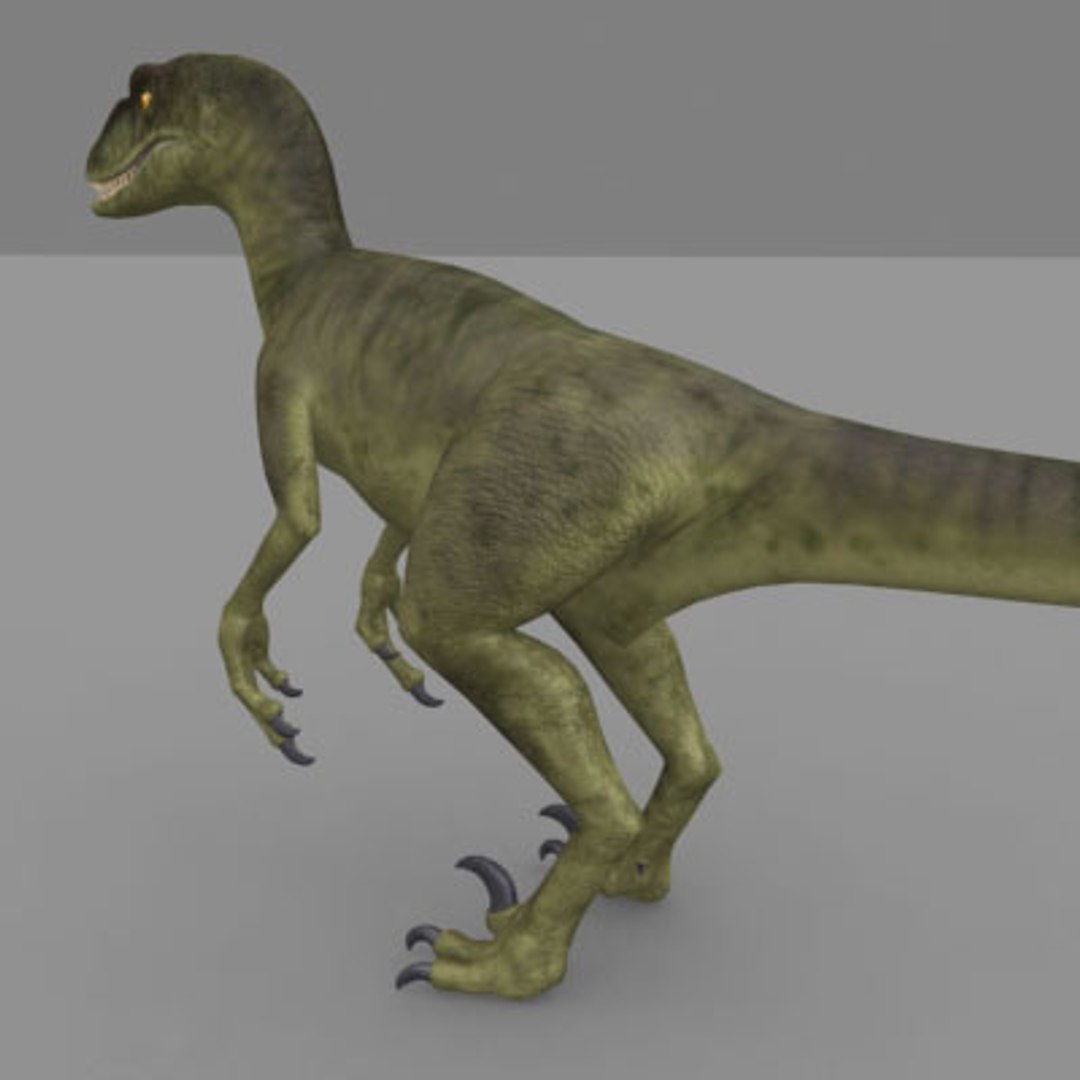 raptor dinosaur 3d model