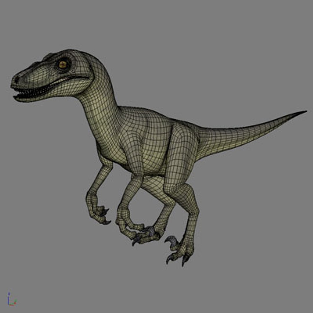 raptor dinosaur 3d model