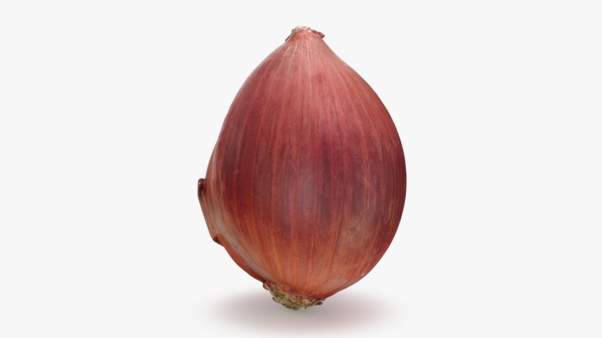 3D Red Onion 02 Model - TurboSquid 2178631