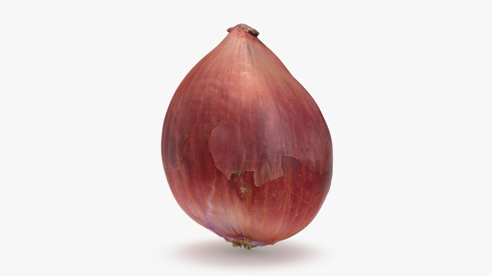 3D Red Onion 02 Model - TurboSquid 2178631