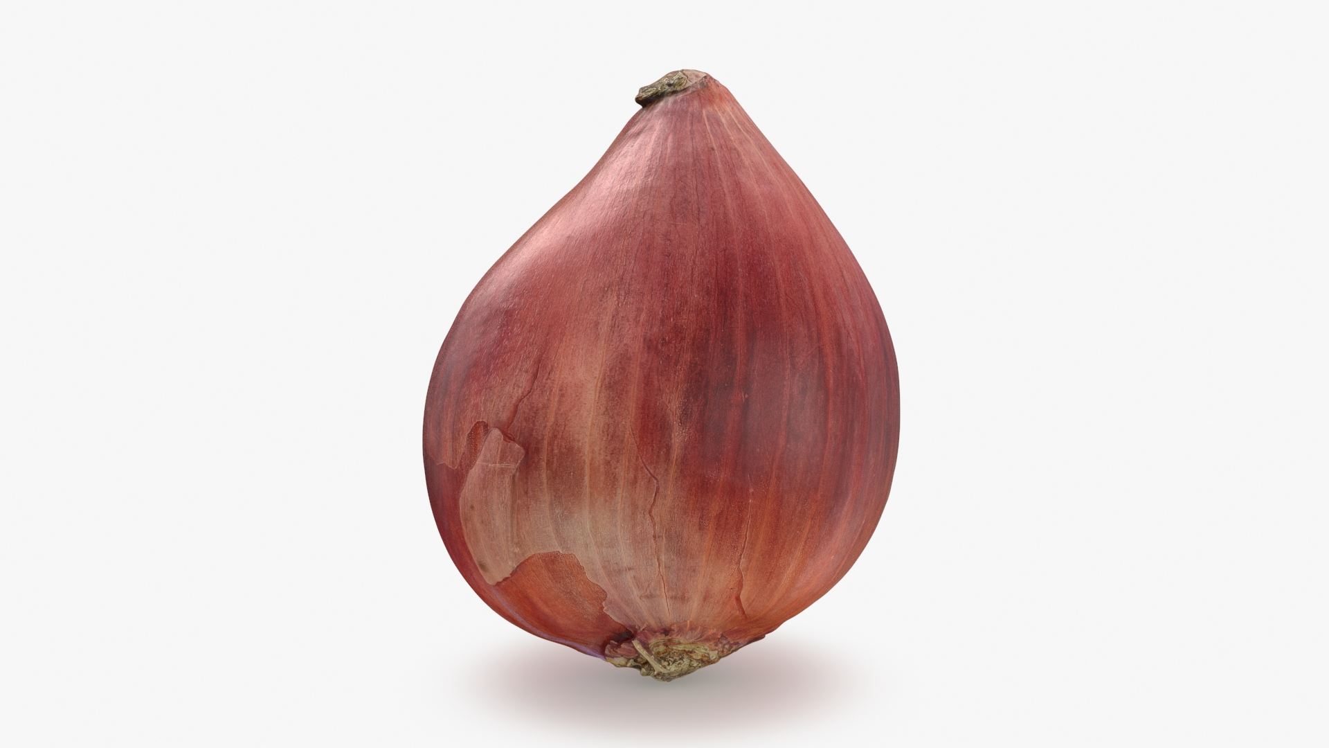 3D Red Onion 02 Model - TurboSquid 2178631