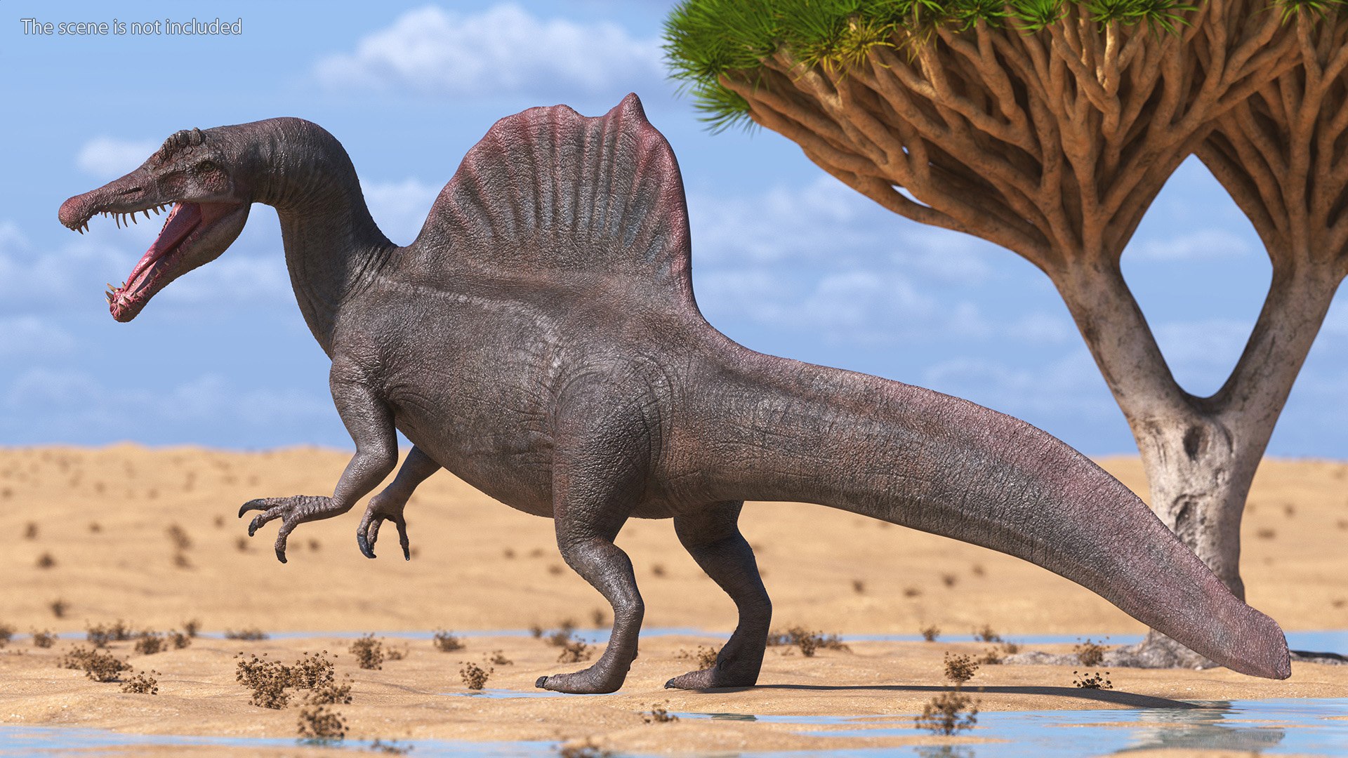 3D Spinosaurus Roaring Pose Model - TurboSquid 2268872