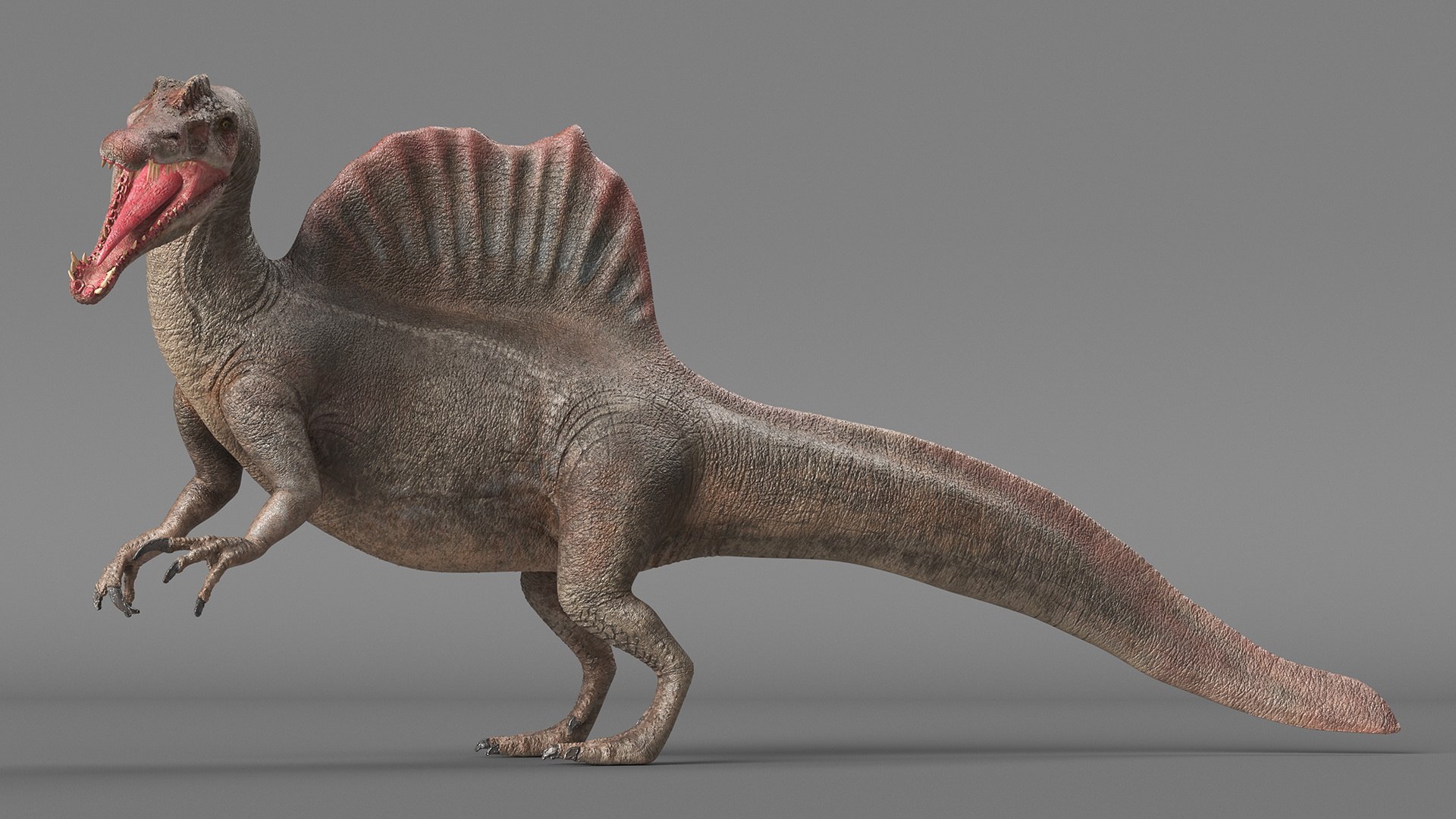 3D Spinosaurus Roaring Pose Model - TurboSquid 2268872