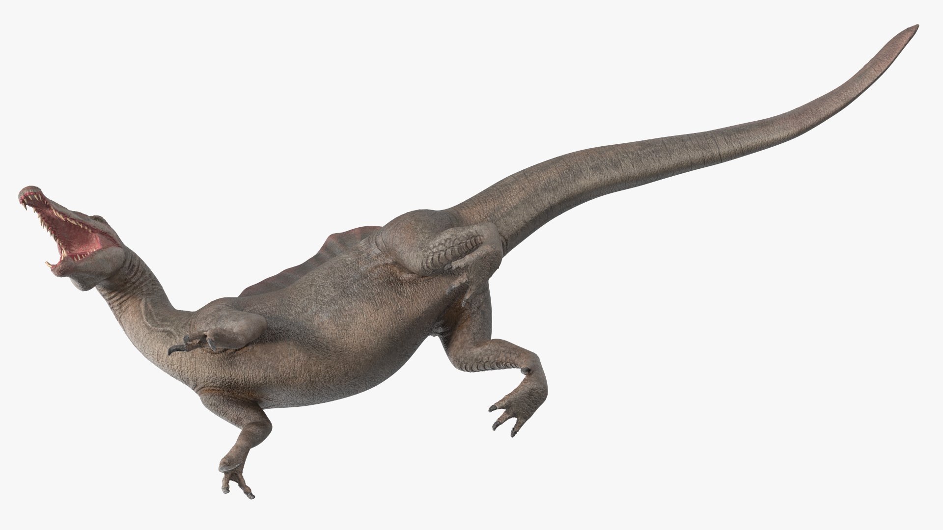 3D Spinosaurus Roaring Pose Model - TurboSquid 2268872