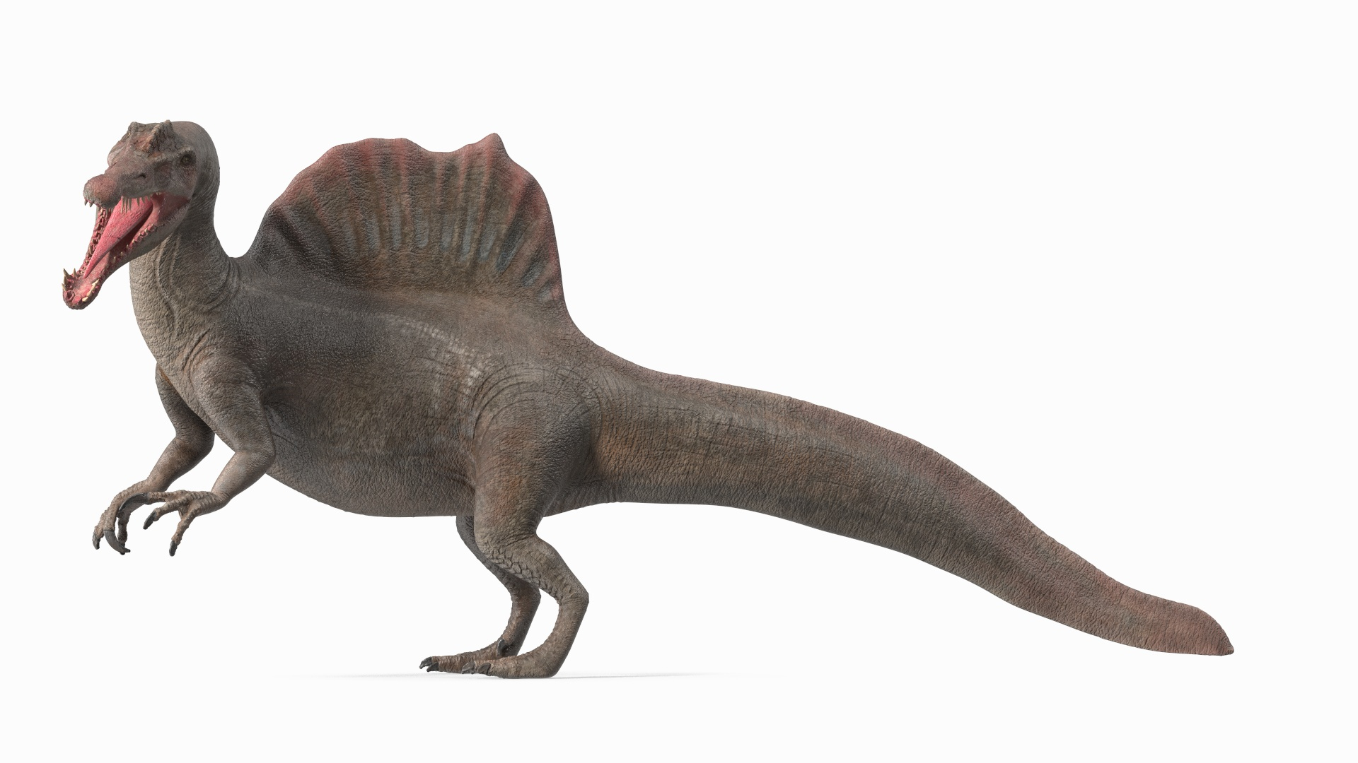 3D Spinosaurus Roaring Pose Model - TurboSquid 2268872